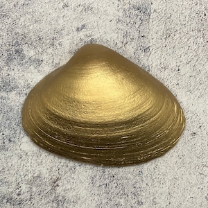 Decoupage Clam Shell Decor, Montauk Lighthouse Art, Handmade Ring Dish ...