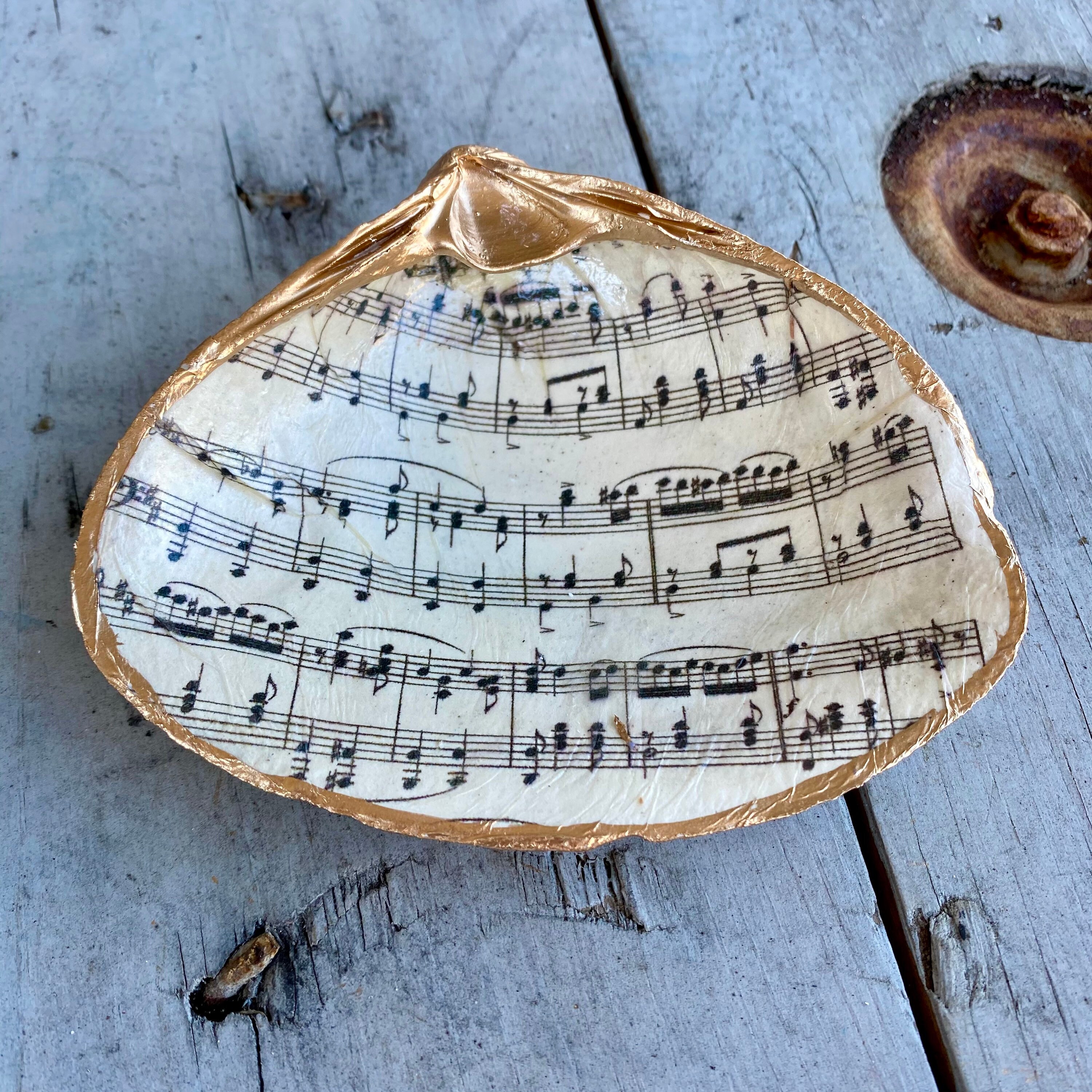 Decoupage Clam Shell, Music Notes Beach Decor, Handmade Ring Dish - Etsy