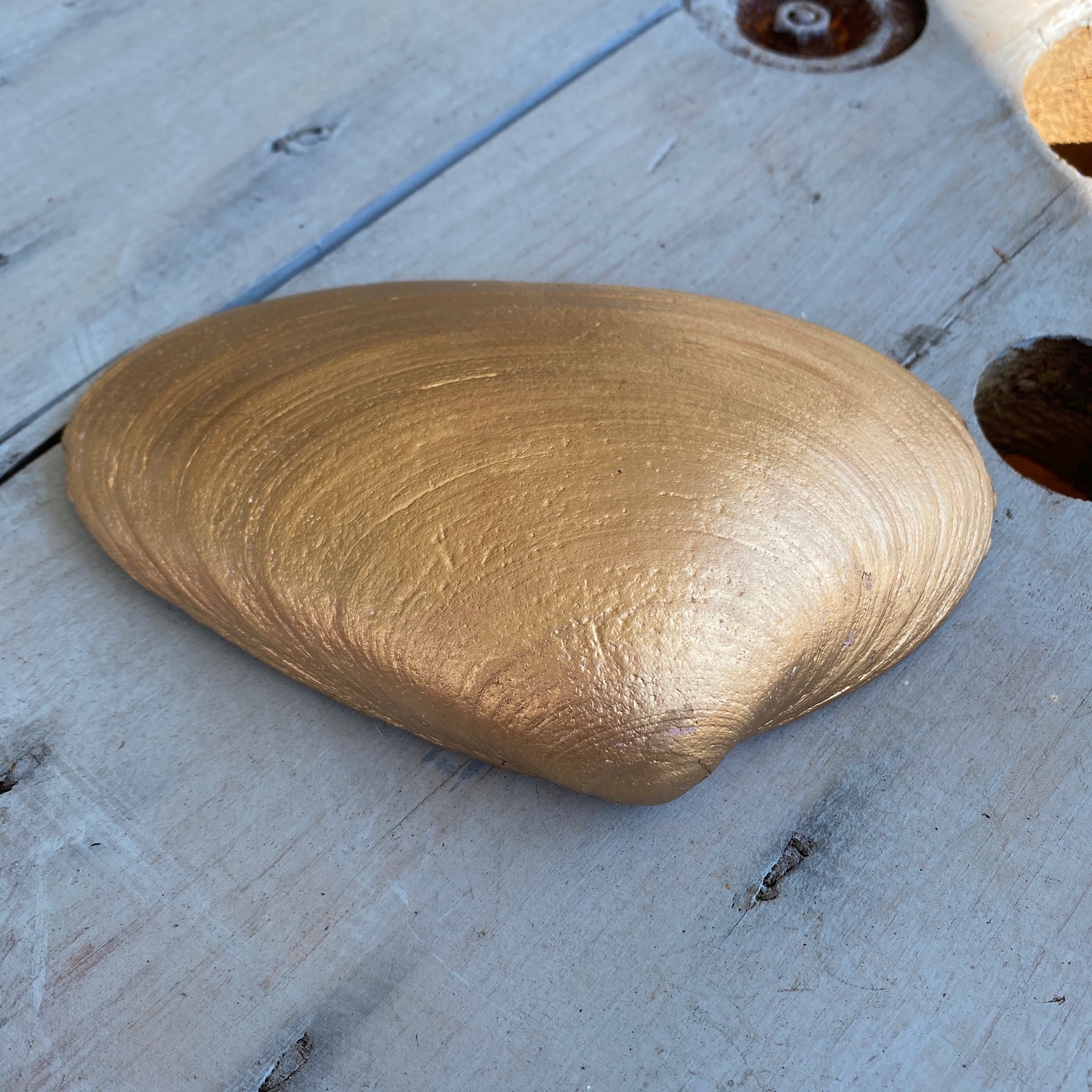 Decoupage Clam Shell, Music Notes Beach Decor, Handmade Ring Dish - Etsy