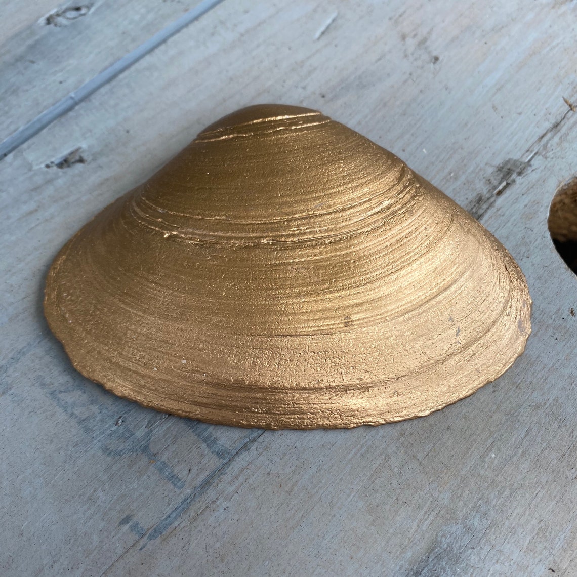 Decoupage Clam Shell Art Skull and Black Bird Beach Decor - Etsy