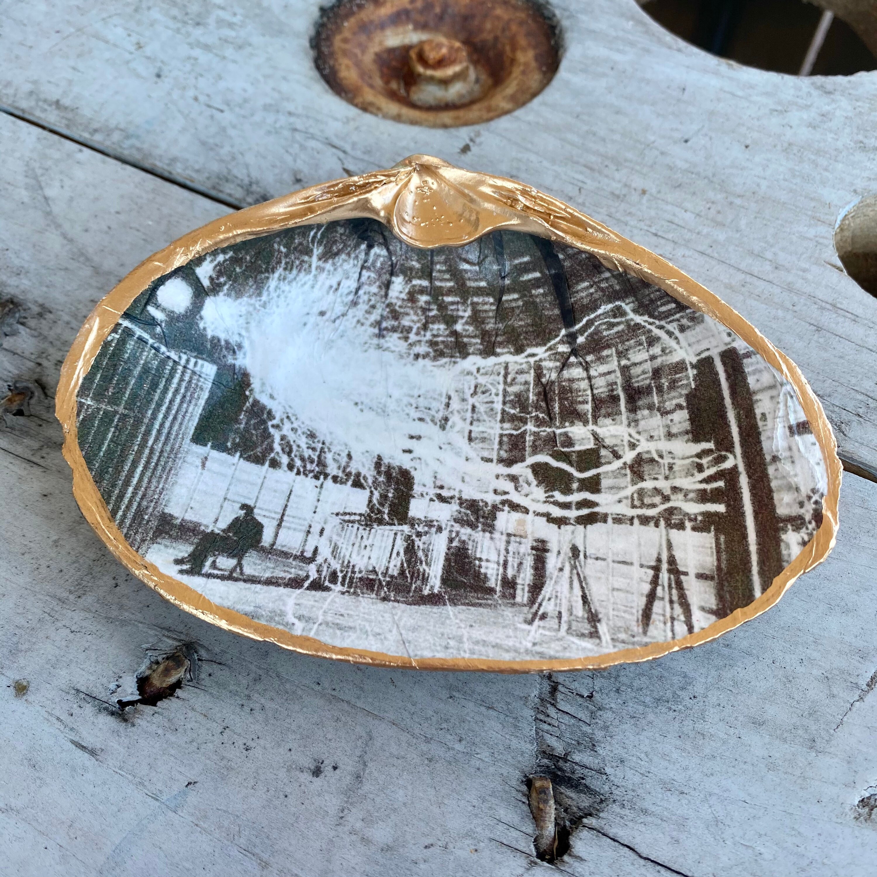 Decoupage Clam Shell Decor Nikola Tesla Handmade Ring Dish - Etsy Australia