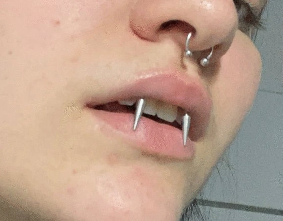 Vampiro Septum Drácula Clavo Piercing Tigre Diente Colmillos Etsy España