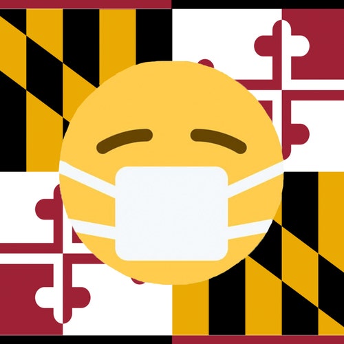 MarylandMaskMaker - Etsy