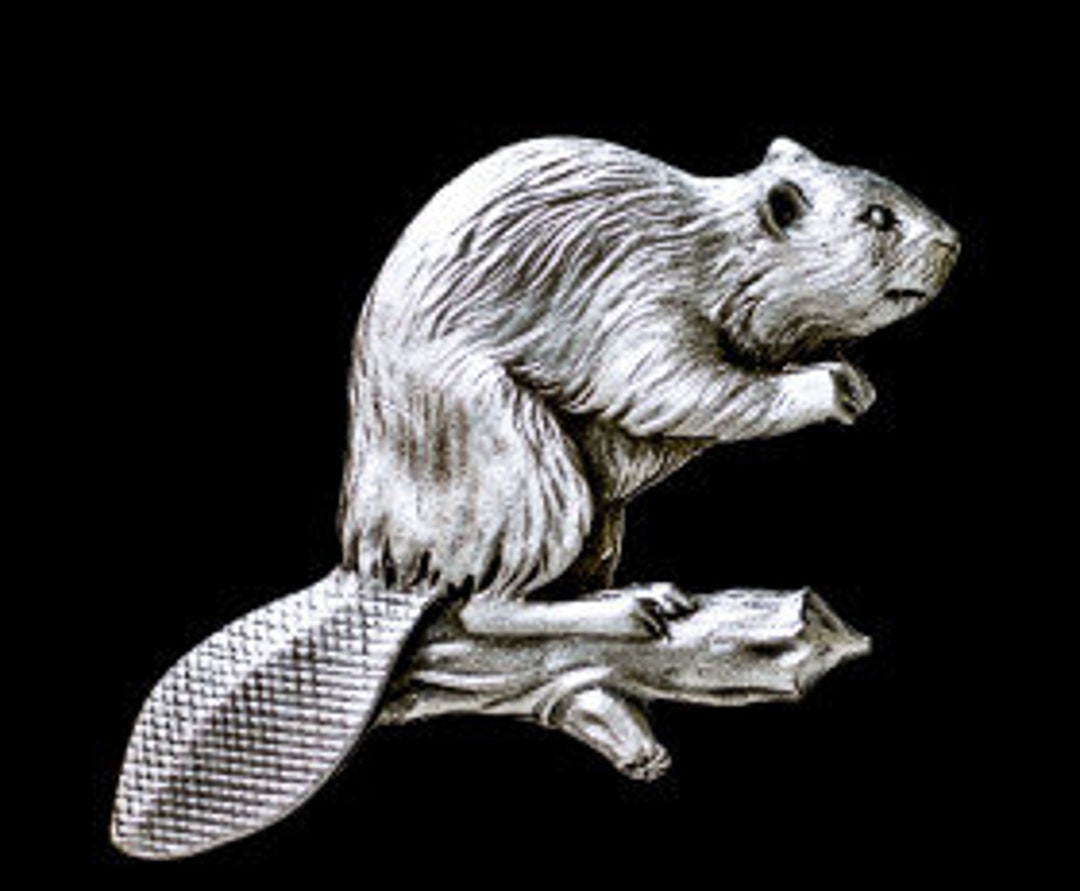 Pewter Beaver Lapel Pin - Etsy