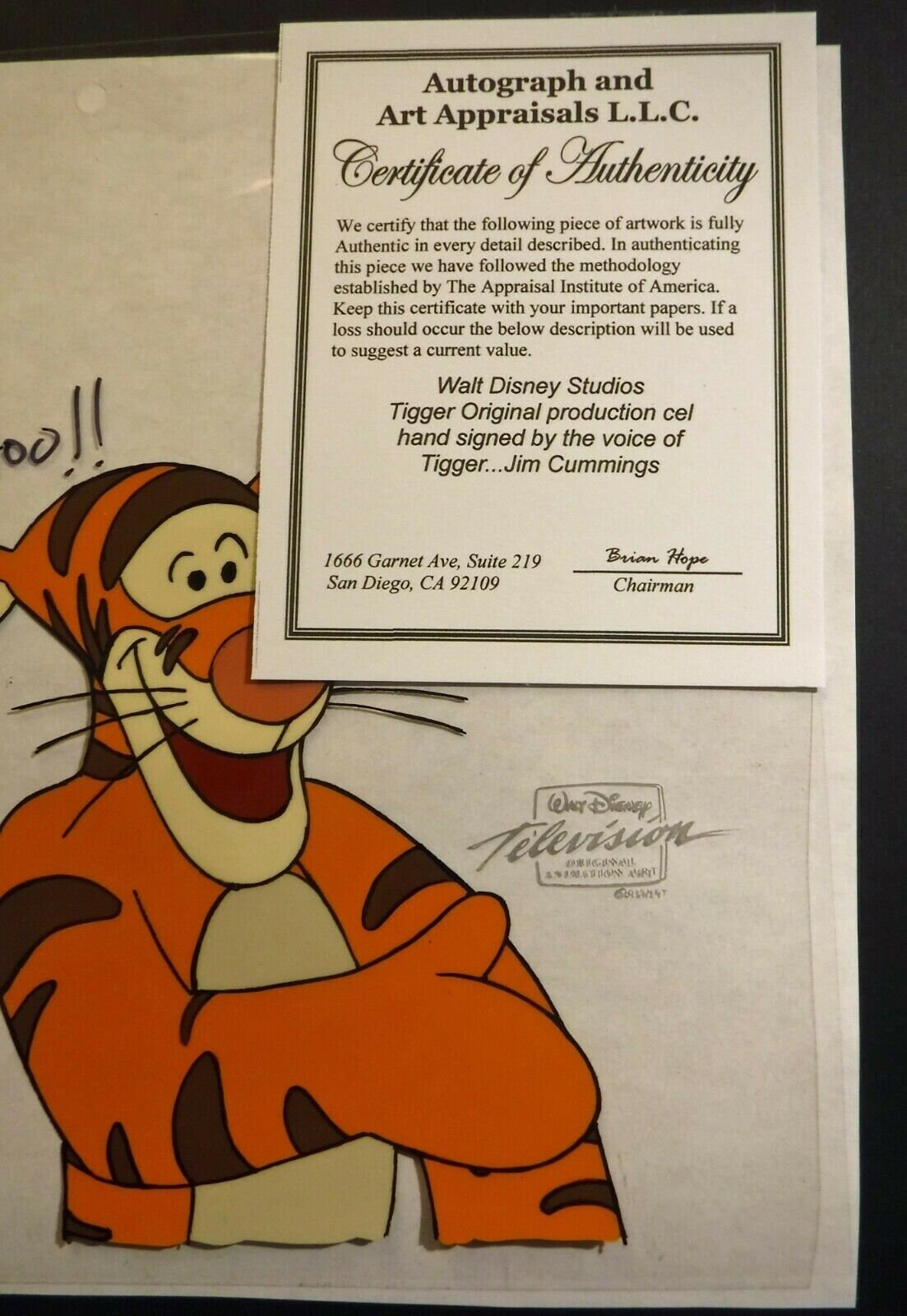 Hand SIGNED Tigger Shakes your hand original production Disney cel hand ...