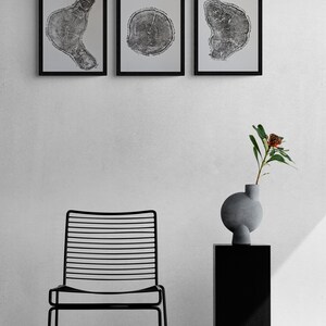 Canterbury Oak 3 . Tree Stump . Tree Rings . Boho Art . Special Gift ...