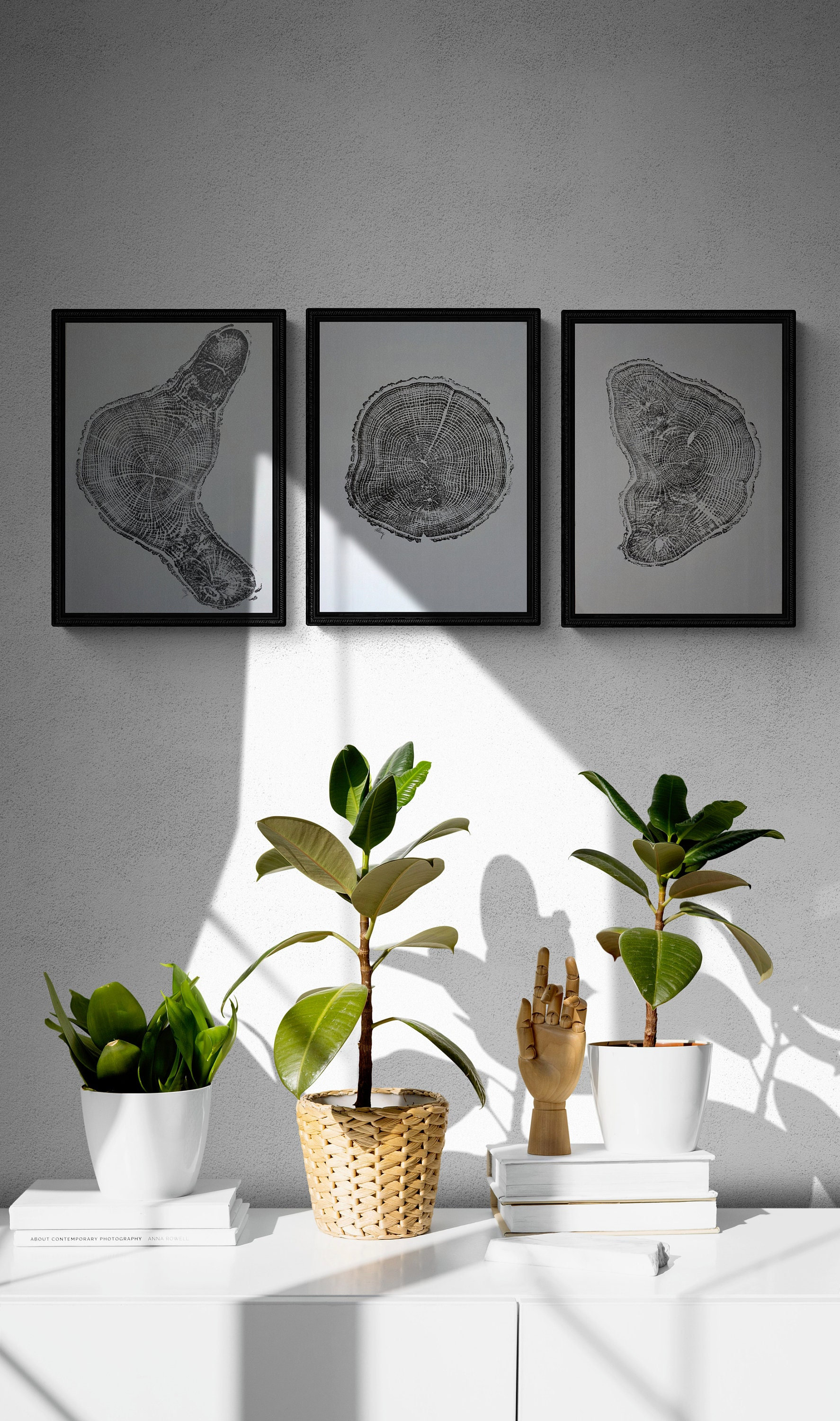 Canterbury Oak Trilogy . Shapes in Nature . Nature Inspired Art ...