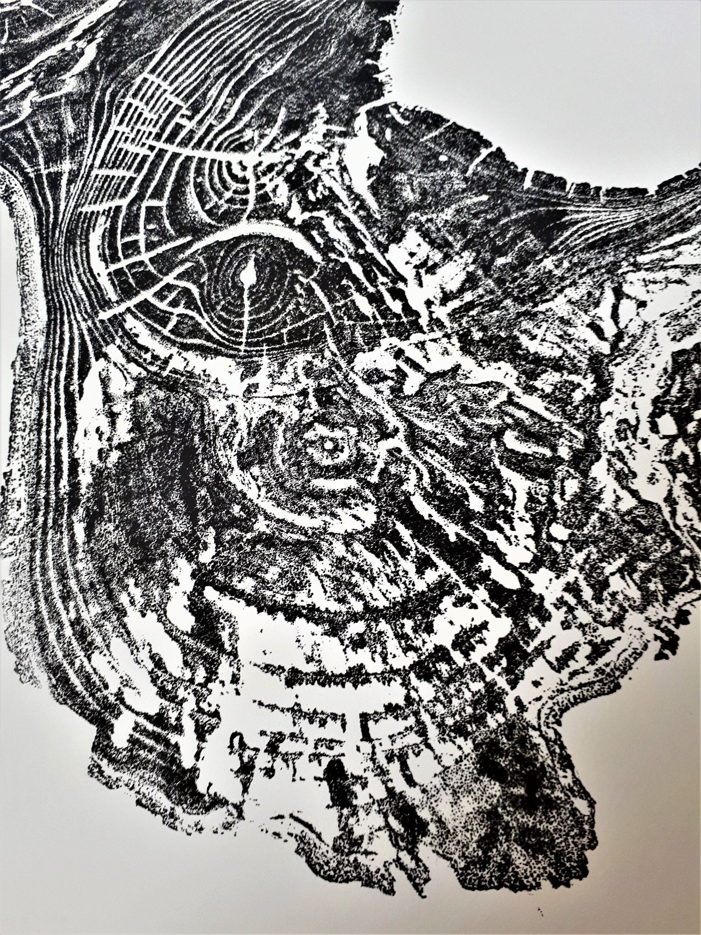 Saltwood Ash Wreath . Tree Grain Print . Tree Stump Print. - Etsy