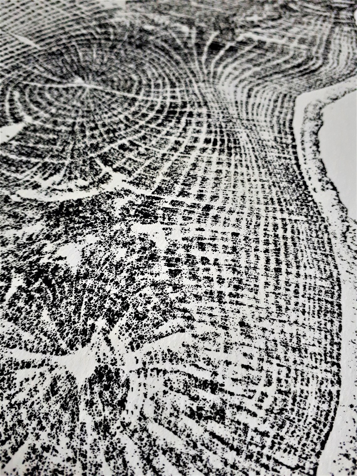 Canterbury Oak Trilogy . Shapes in Nature . Nature Inspired - Etsy