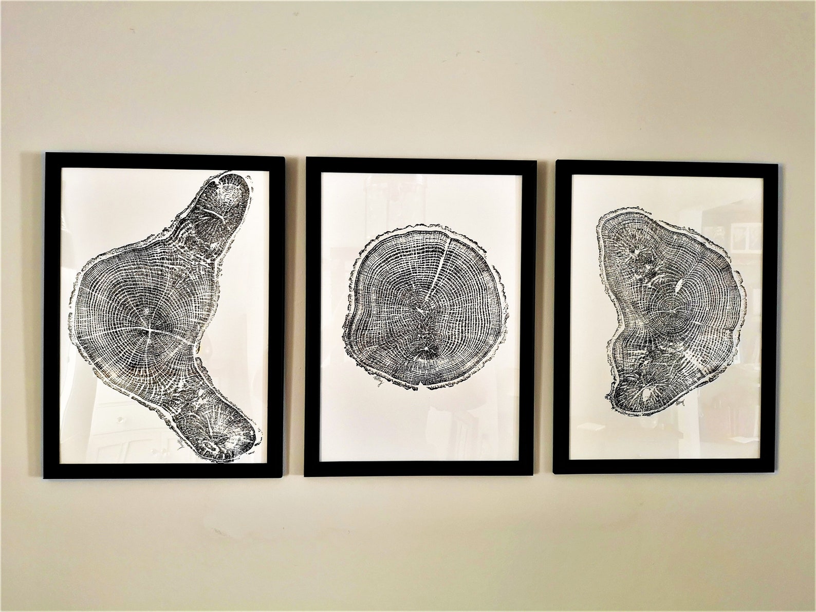 Canterbury Oak Trilogy . Shapes in Nature . Nature Inspired | Etsy