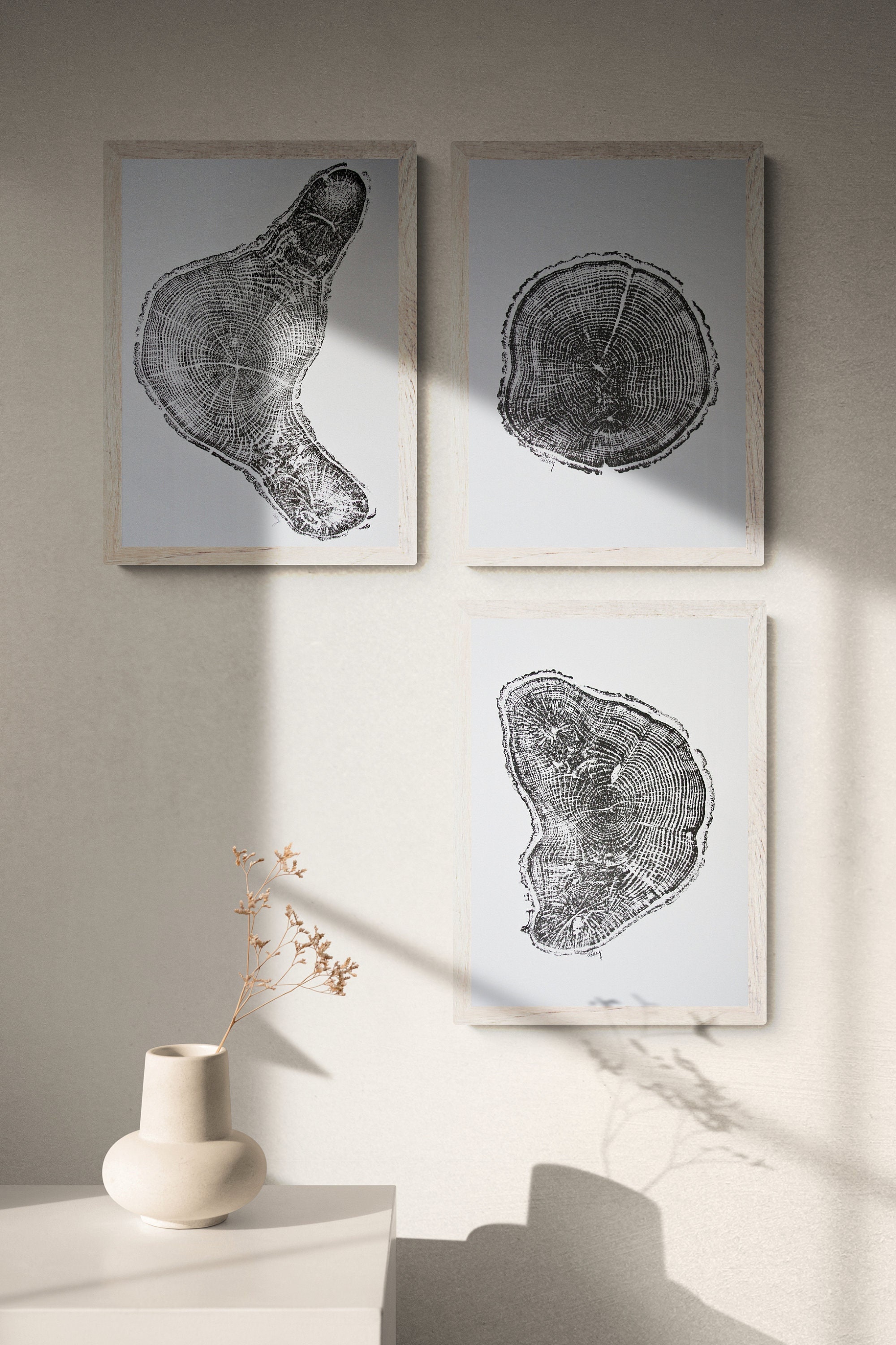 Canterbury Oak Trilogy . Shapes in Nature . Nature Inspired Art ...