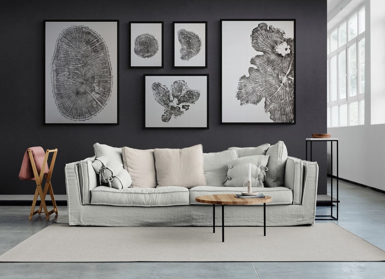 Canterbury Oak 3 . Tree Stump . Tree Rings . Boho Art . - Etsy UK