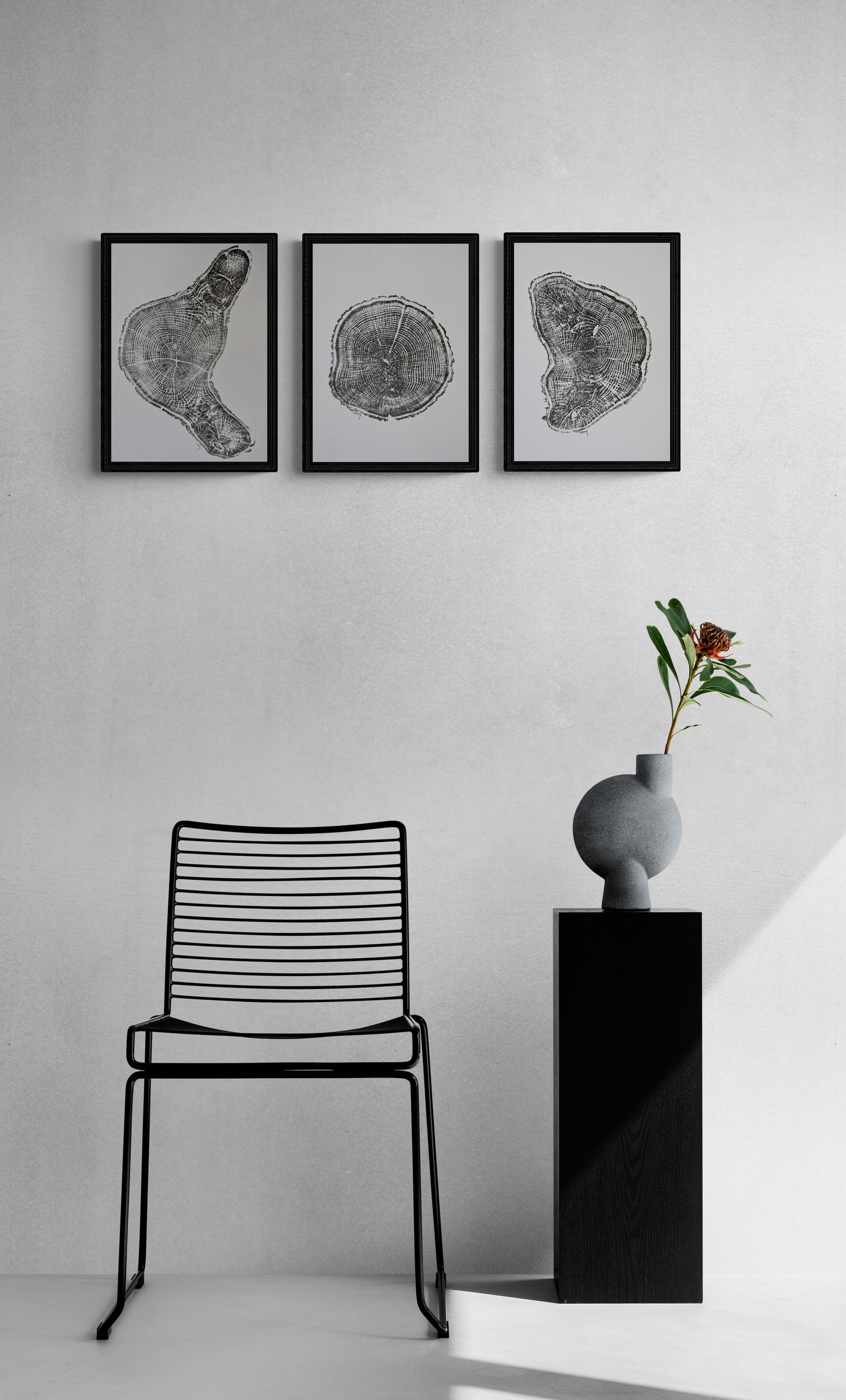 Canterbury Oak Trilogy . Shapes in Nature . Nature Inspired - Etsy