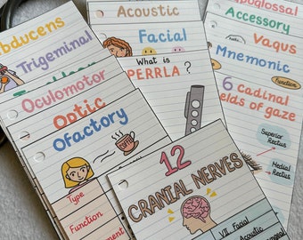 Cranial Nerves Neurological Nursing Notes Nursing Study - Etsy