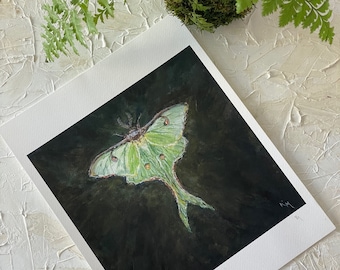 Luna Moth Print - Etsy