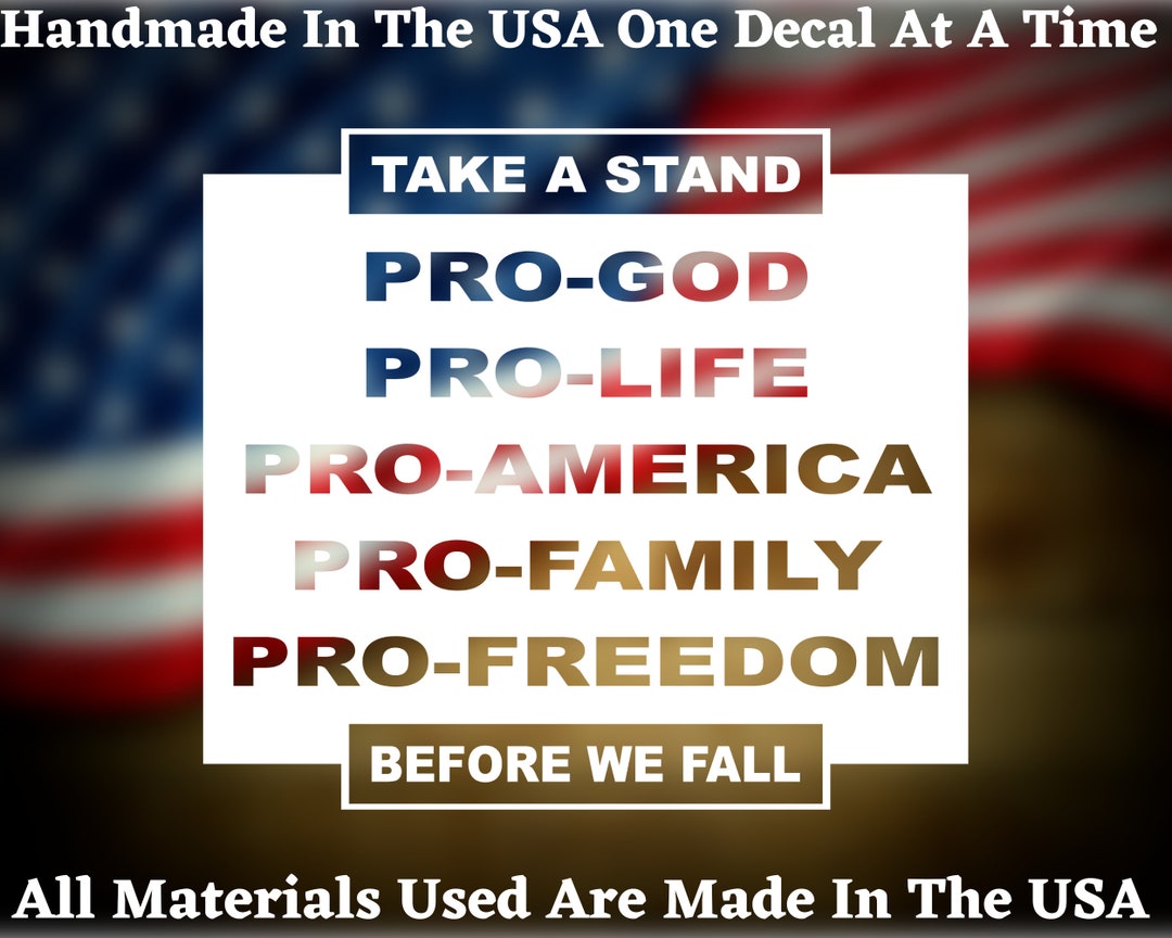 Take A Stand Before We Fall Decal Pro-god Pro-life Pro-america Pro ...