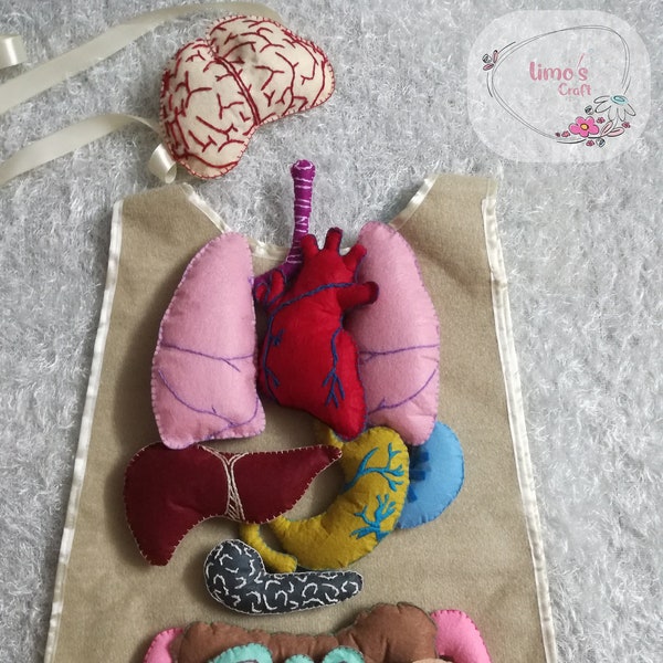 Human Body Felt - Etsy