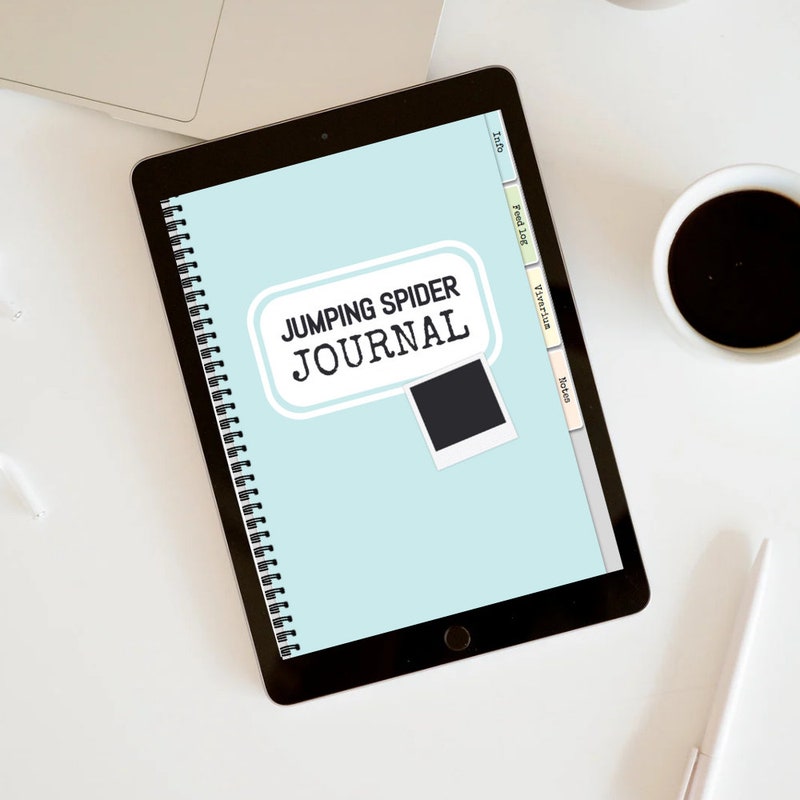 Jumping Spider Enclosure - Etsy