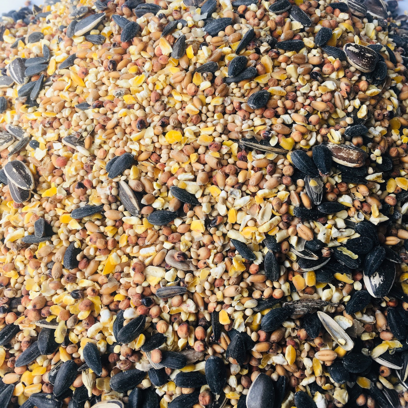 Wild Bird Food Feed Mix Milo Millet Sunflower Seeds Wheat Cracked Corn ...