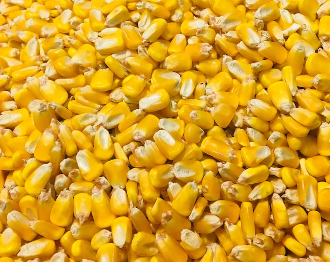 Shelled Corn Animal Wildlife Feed - Etsy