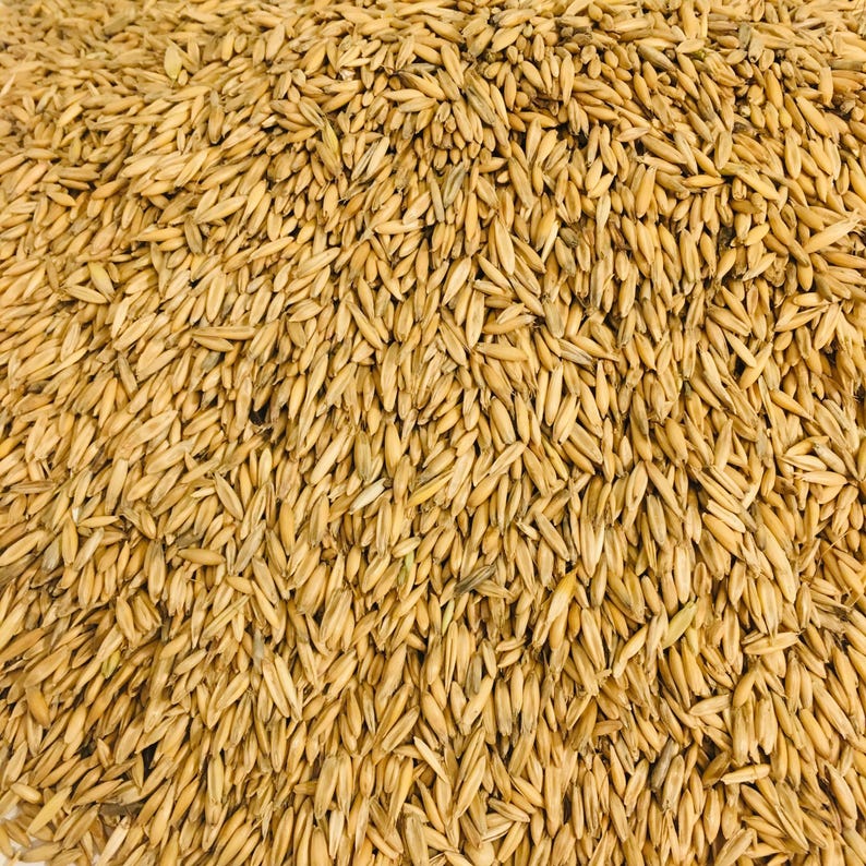 Whole Grain Oats Animal Feed Unhulled - Etsy