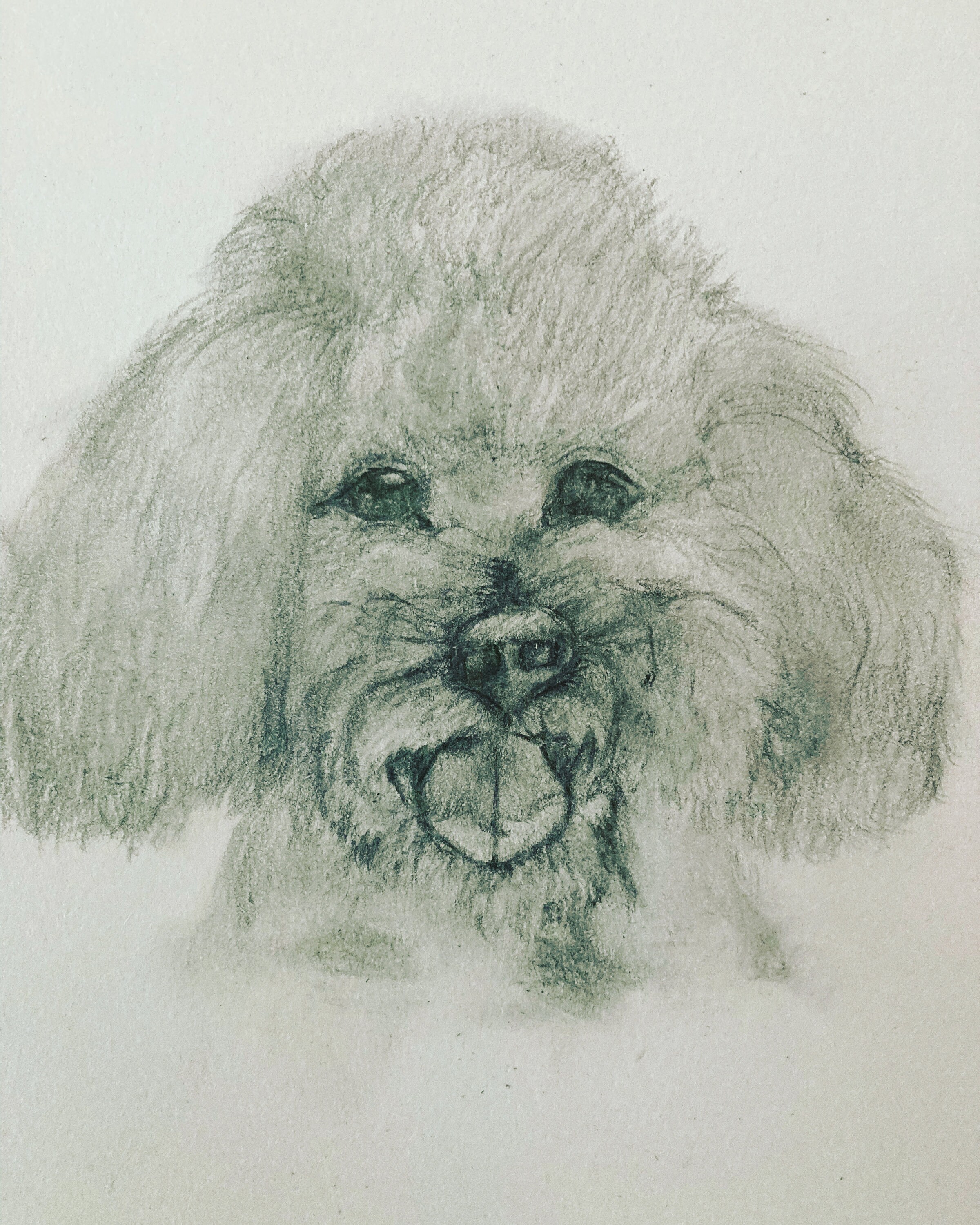 Hand Drawn Custom Dog Portraits | Dog Art | Kid Art | Gifts for Pet ...