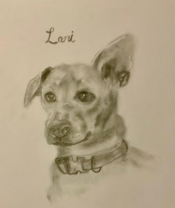 Hand Drawn Custom Dog Portraits Dog Art Gifts for Pet - Etsy
