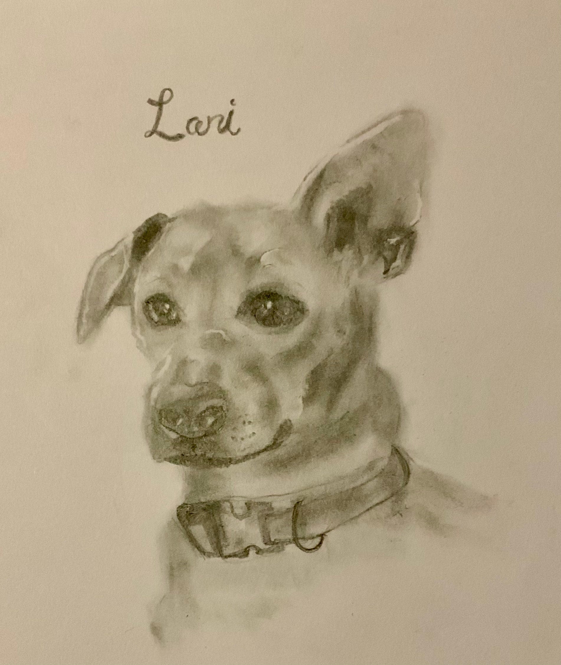 Hand Drawn Custom Dog Portraits | Dog Art | Kid Art | Gifts for Pet ...