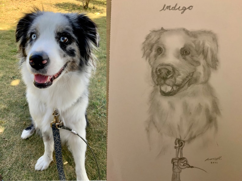 Hand Drawn Custom Dog Portraits Dog Art Gifts for Pet - Etsy