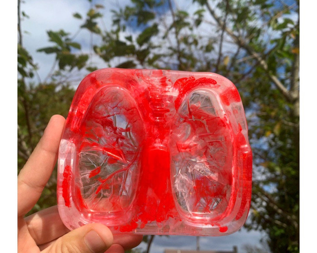 Resin Lung Ashtray, Custom Ashtrays, Room Decor Aesthetic, Spooky Decor ...