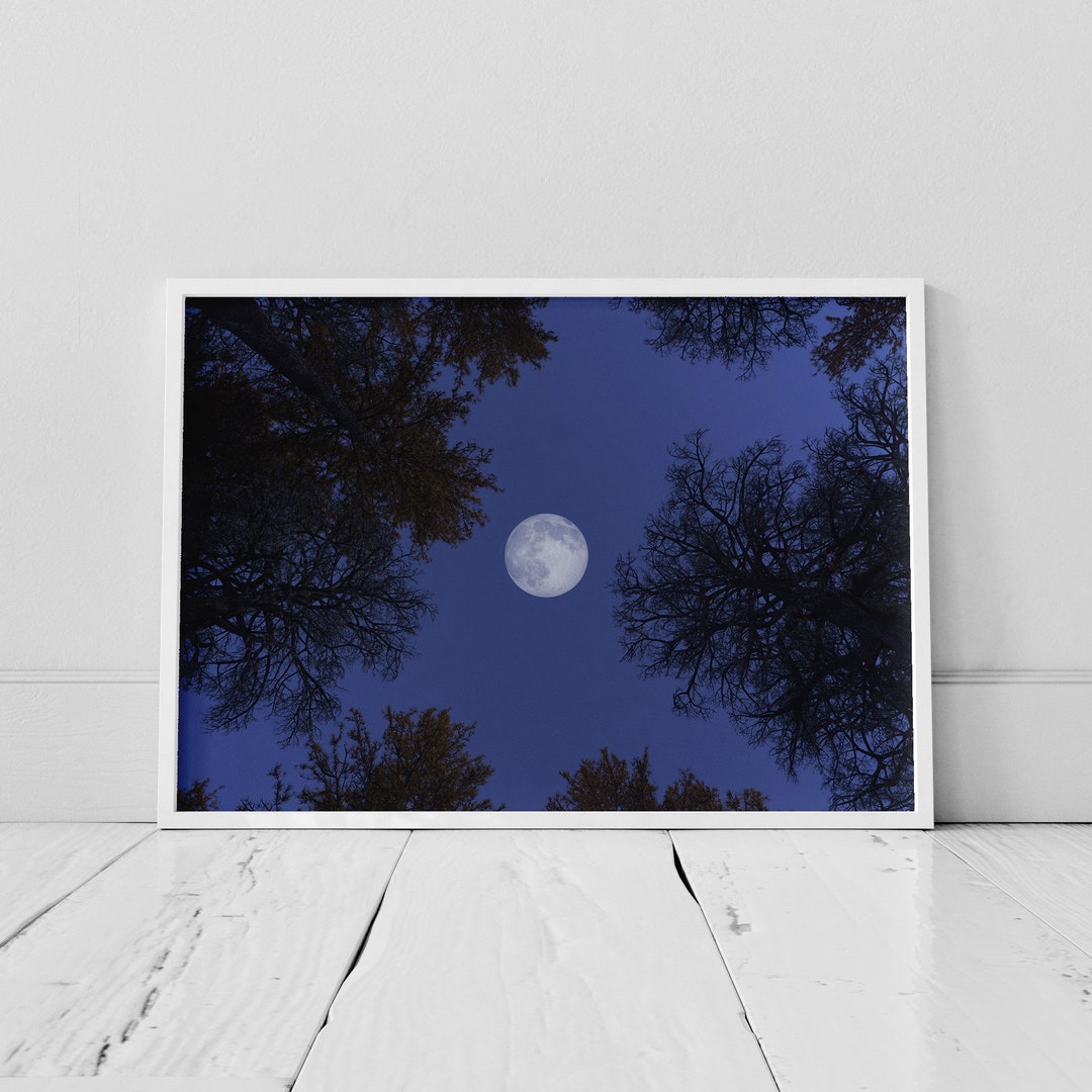Blue Moon, Forest Moon, Printable Moon, Blue Night, Night Landscape ...
