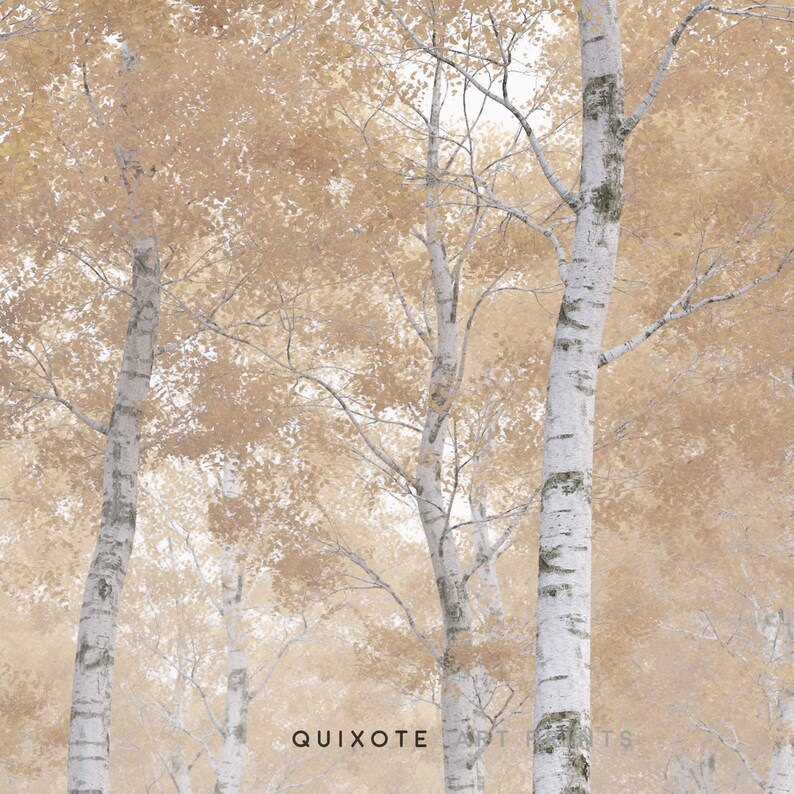 Autumn Birch Forest Misty Forest Print Birch Forest Poster | Etsy