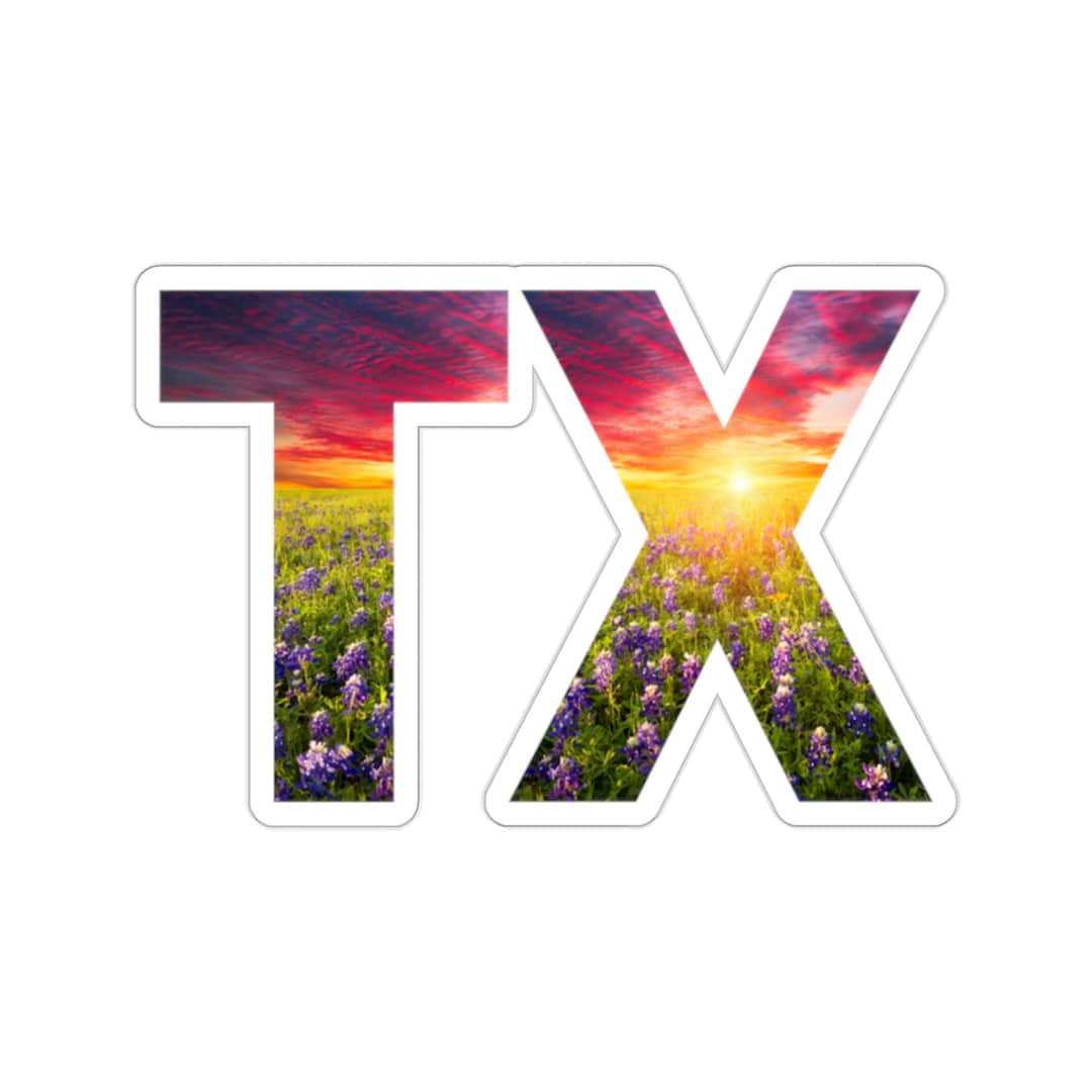 Texas State Sticker - Etsy