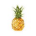Pineapple Sticker - Etsy