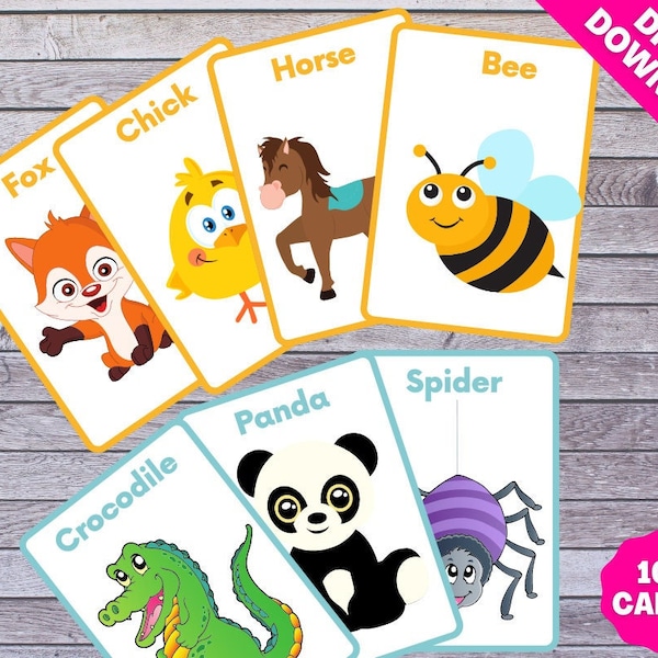 Animal Flash Cards - Etsy