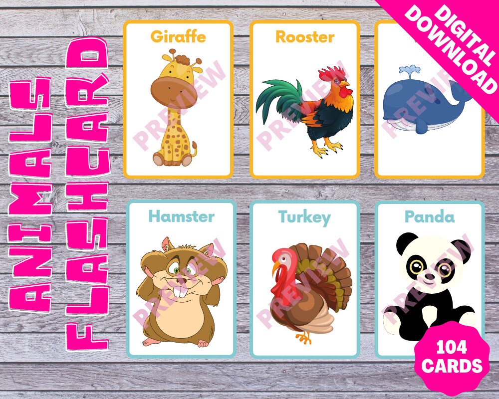 Animal Flashcards 104 Flash Cards Homeschooling - Etsy