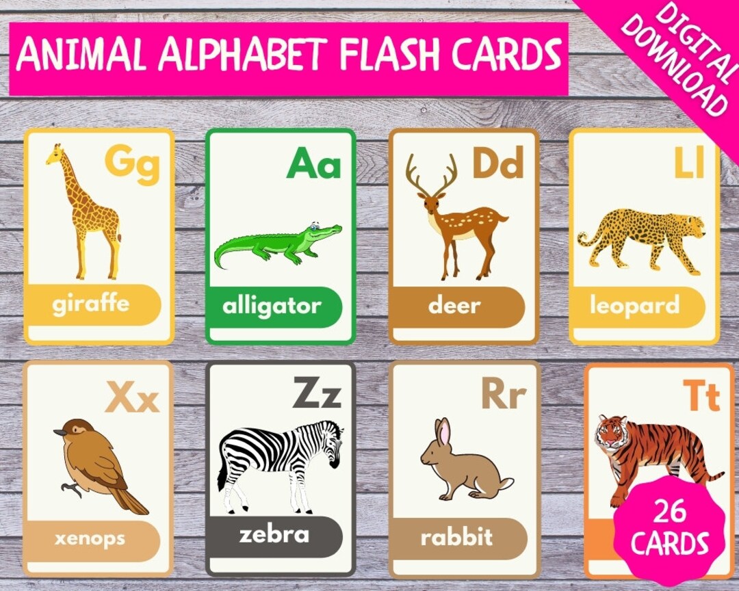 Animal Alphabet Flashcards - Alphabet Flashcards - Etsy