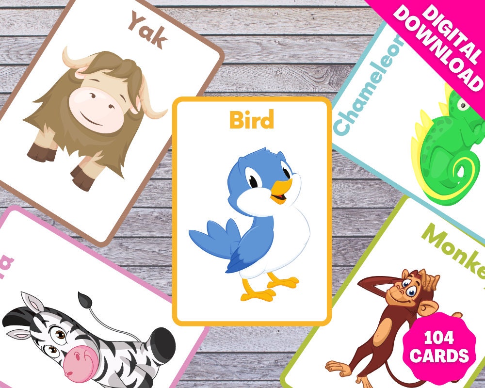 Animal Flashcards 104 Flash Cards Homeschooling - Etsy