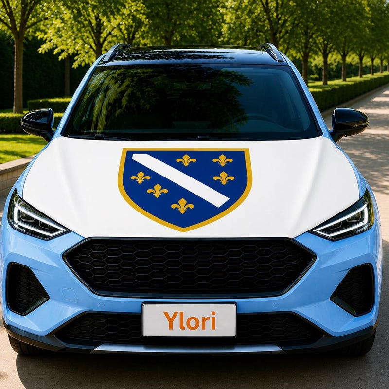 Bosnien flagge auto - Etsy.de