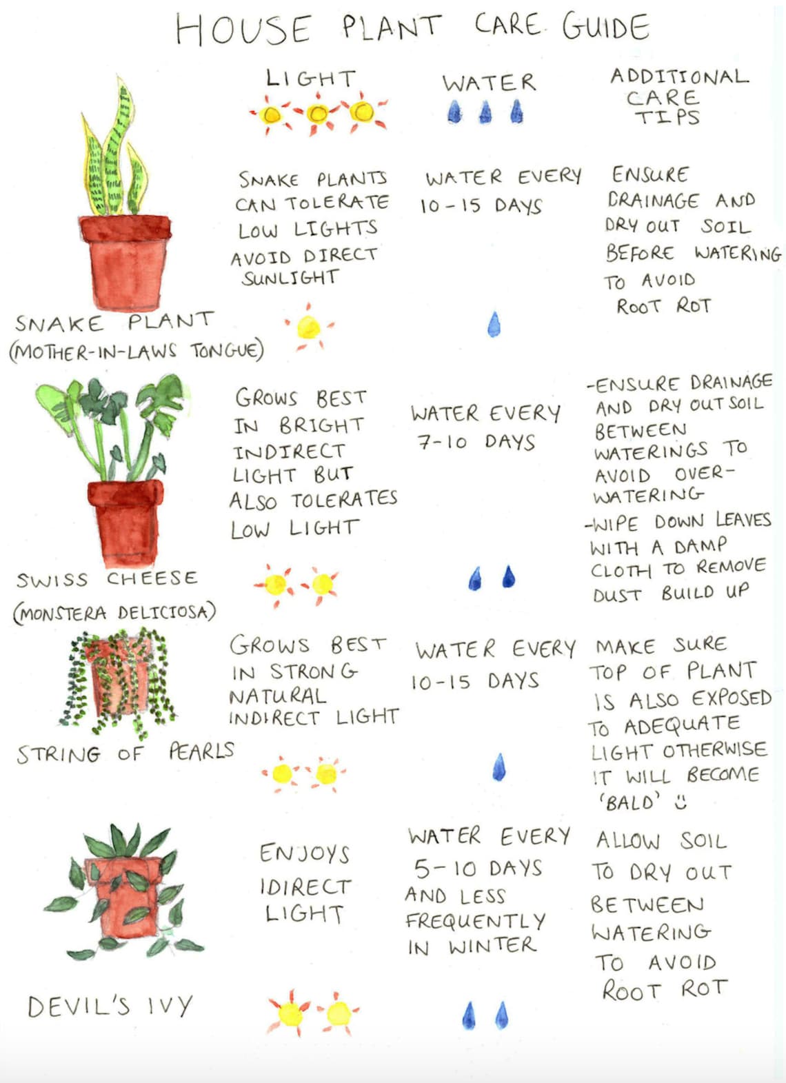 House Plant Care Guide 1 - Etsy