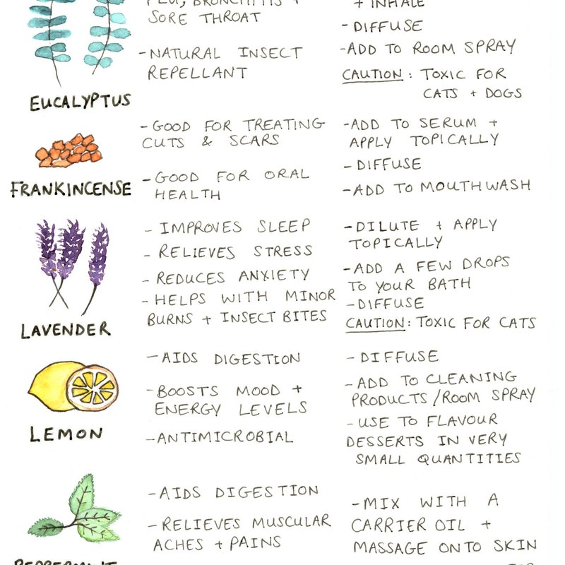 Essential Oil Chart - Etsy