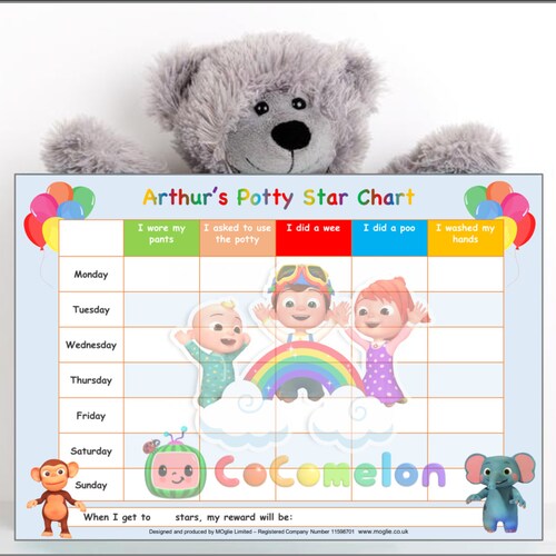 Personalised Potty Training / Reward Chart and Stickers - Etsy