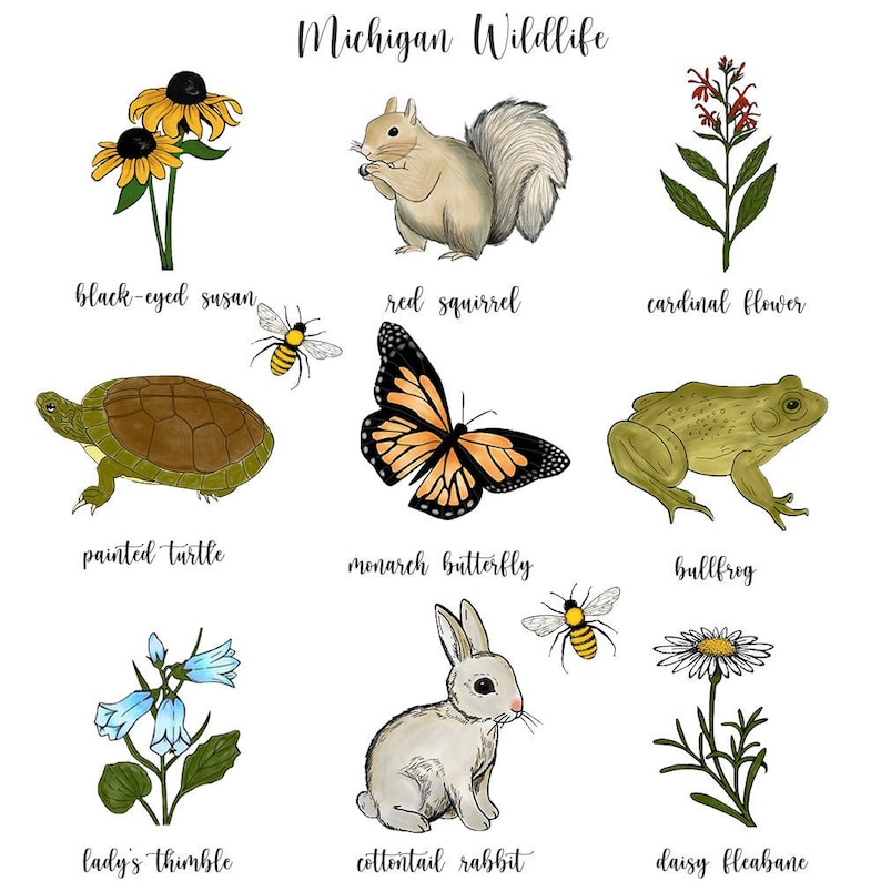 Michigan Wildlife Digital Download - Etsy
