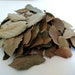 Bay Leaf Hand Picked and Dried From Azogires | Etsy