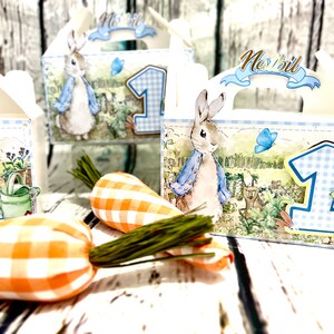 Peter Rabbit Favor Boxes 1st Party Decorations Peter Rabbit Birthday ...