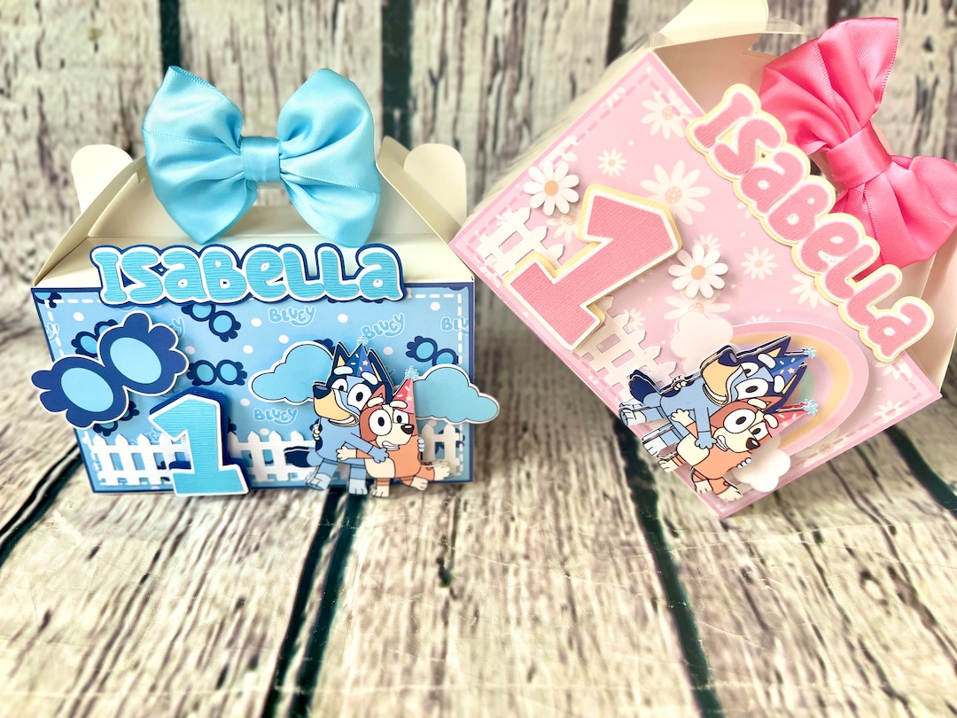 Bluey Dog Pink Blue Themed Favor Boxes Props Party Bluey Birthday 1st ...