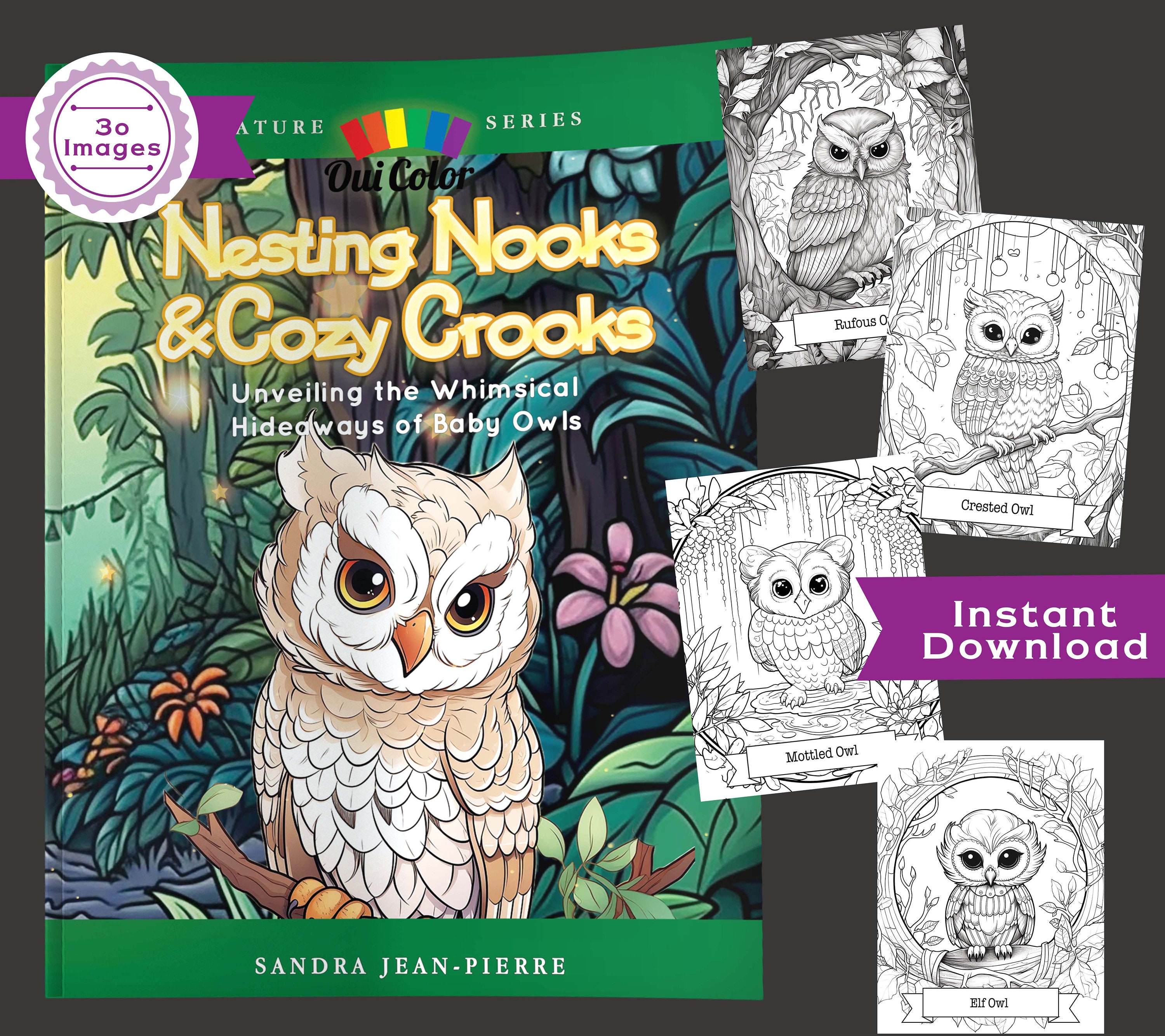 30 Baby Owl Coloring Pages Fantasy Coloring Page Book Grayscale ...