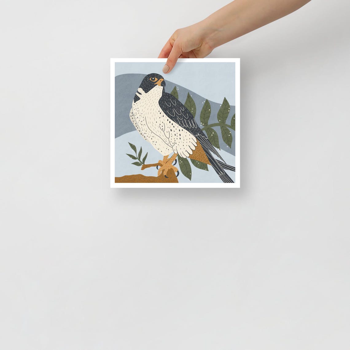 Peregrine Falcon Illustration: Audubon Inspired Bird of Prey Art Print ...