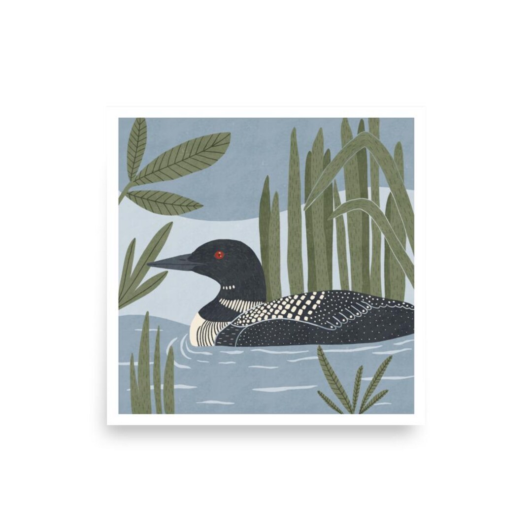 Common Loon Art Print: Audubon Style Lake House Decor - Etsy