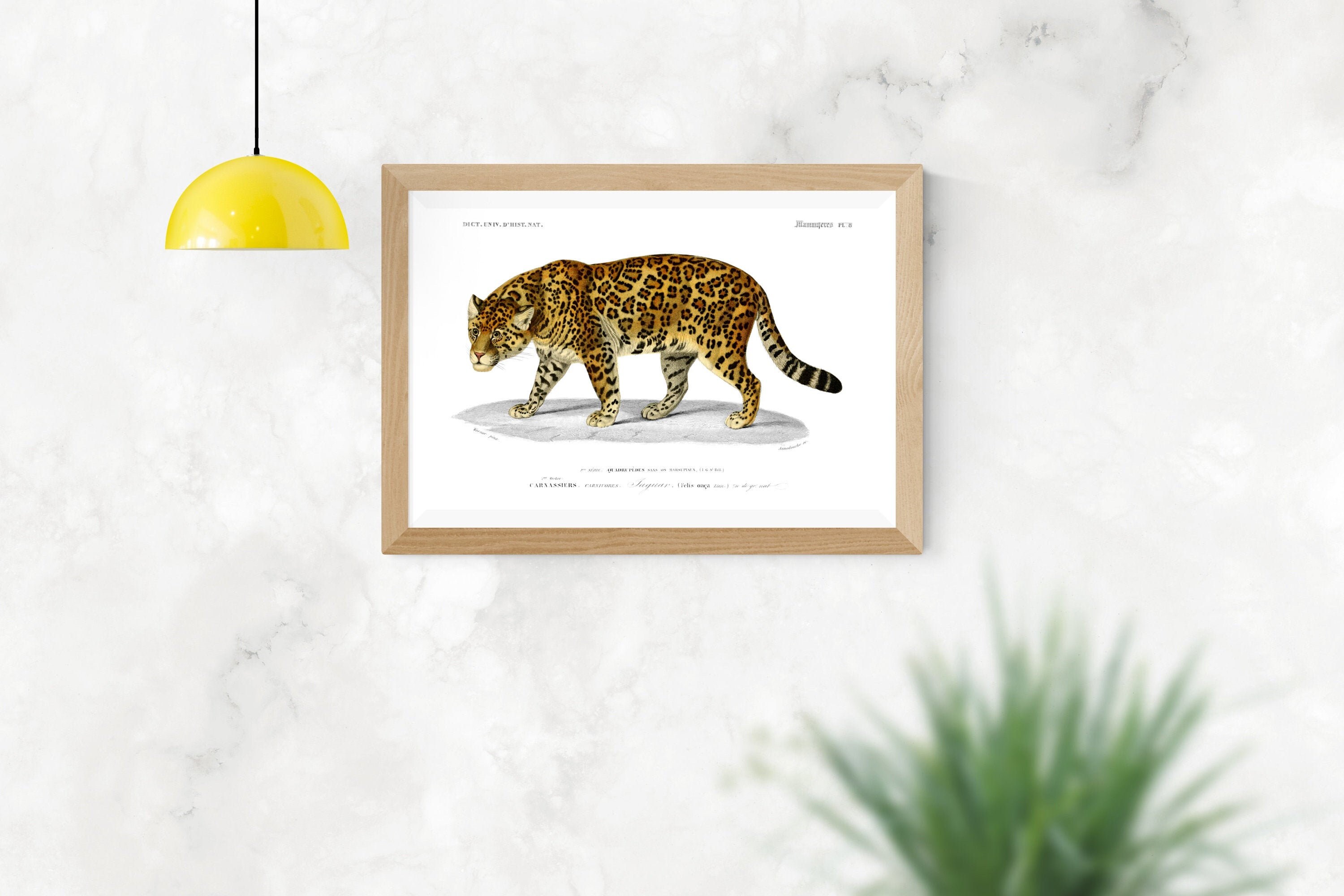 Vintage Jaguar Wall Art Printable Jaguar Poster Historical | Etsy